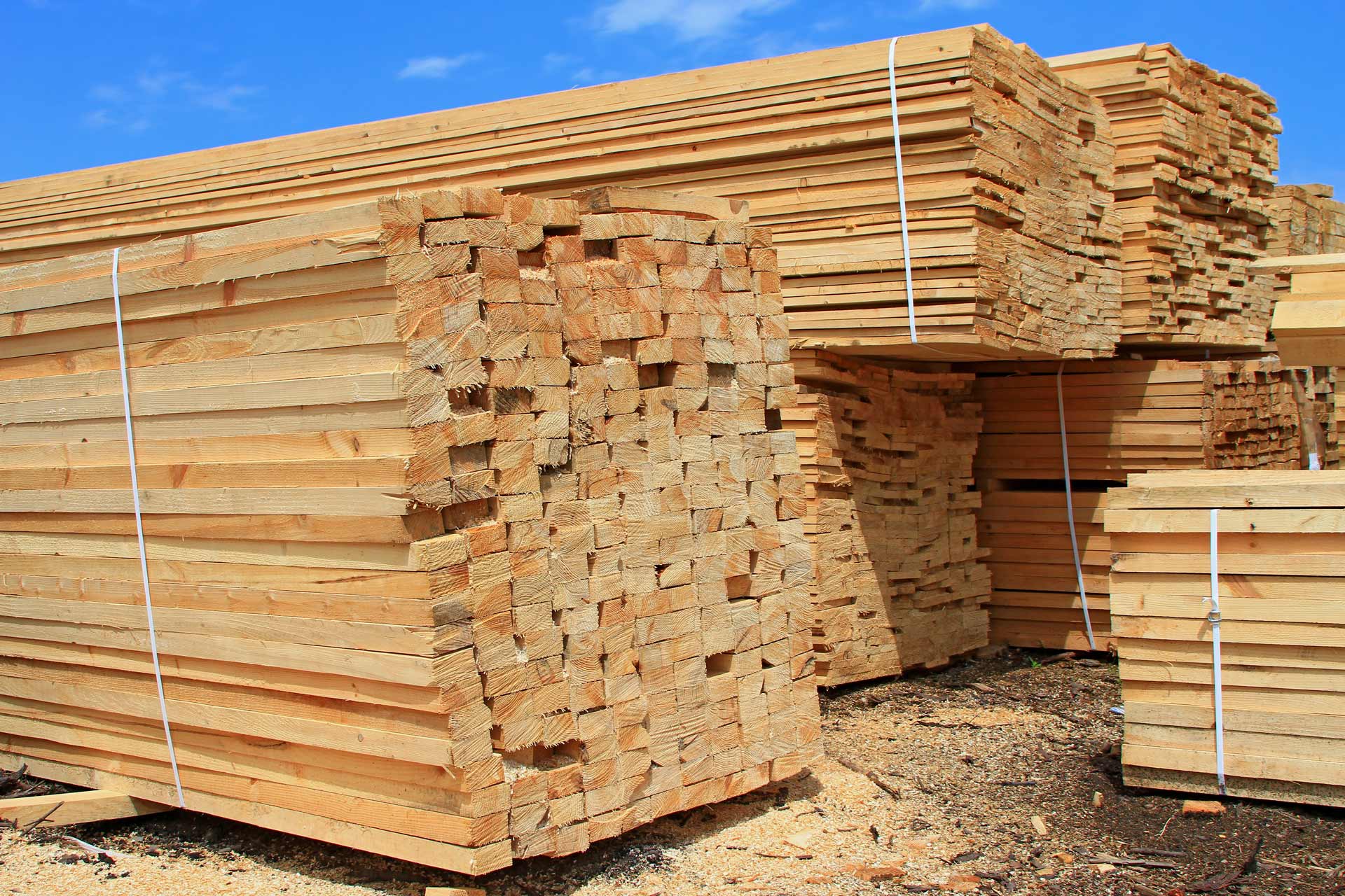 Contact Fox Lumber | Reach Out for Quality Lumber Solutions|Fox Lumber